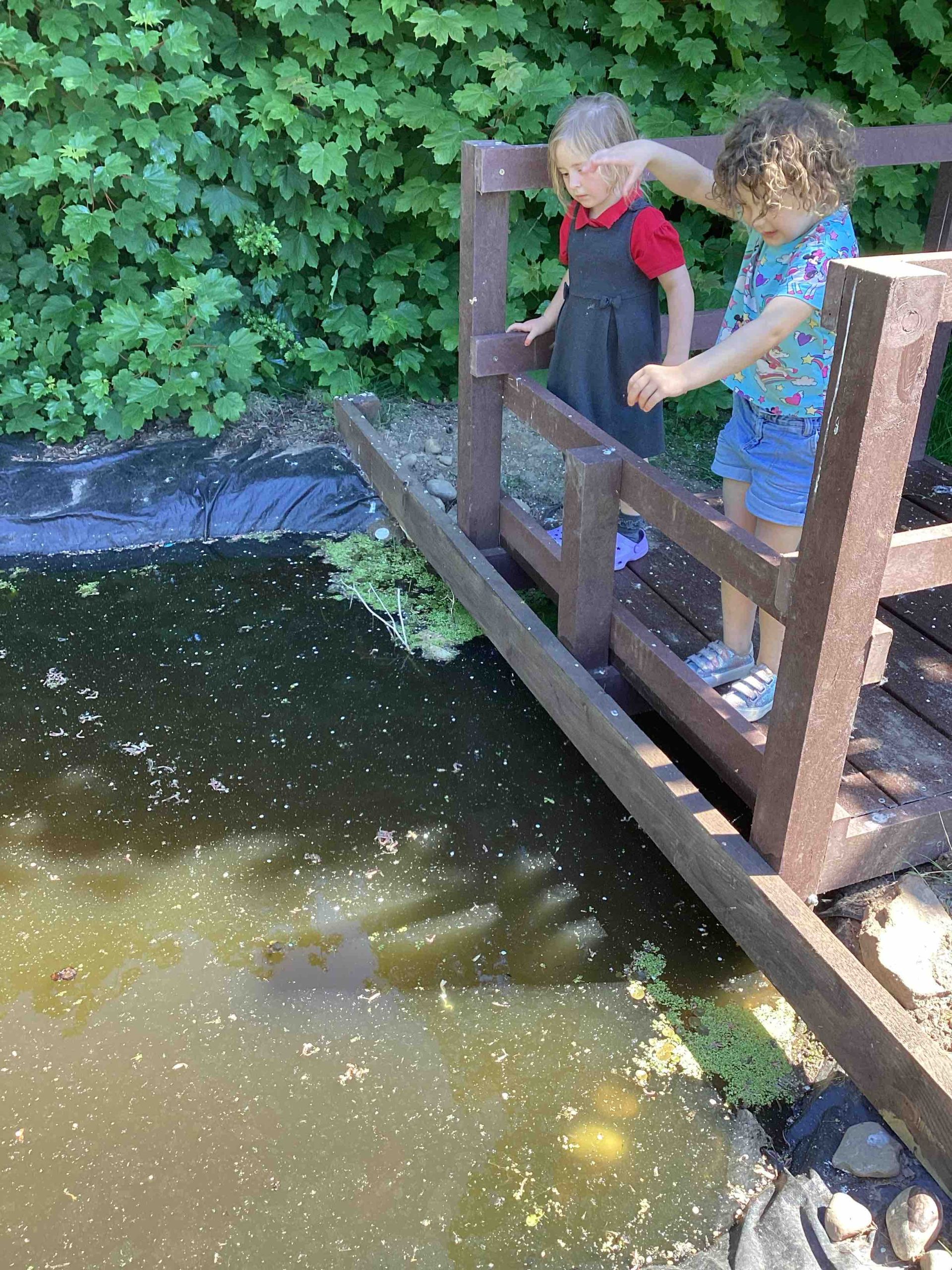 Our visit to the school pond. - Ryelands