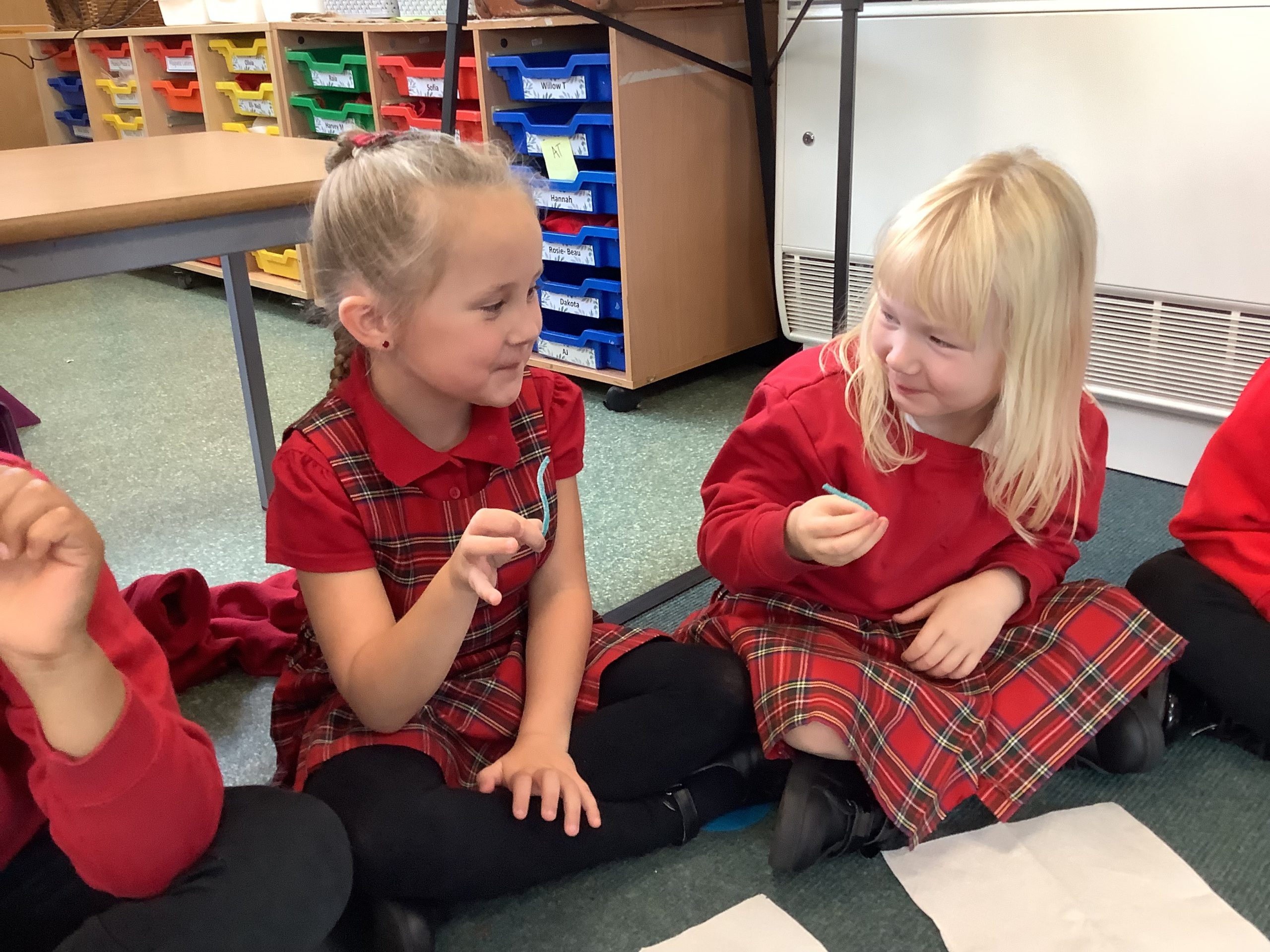 Cedar Senses - Ryelands