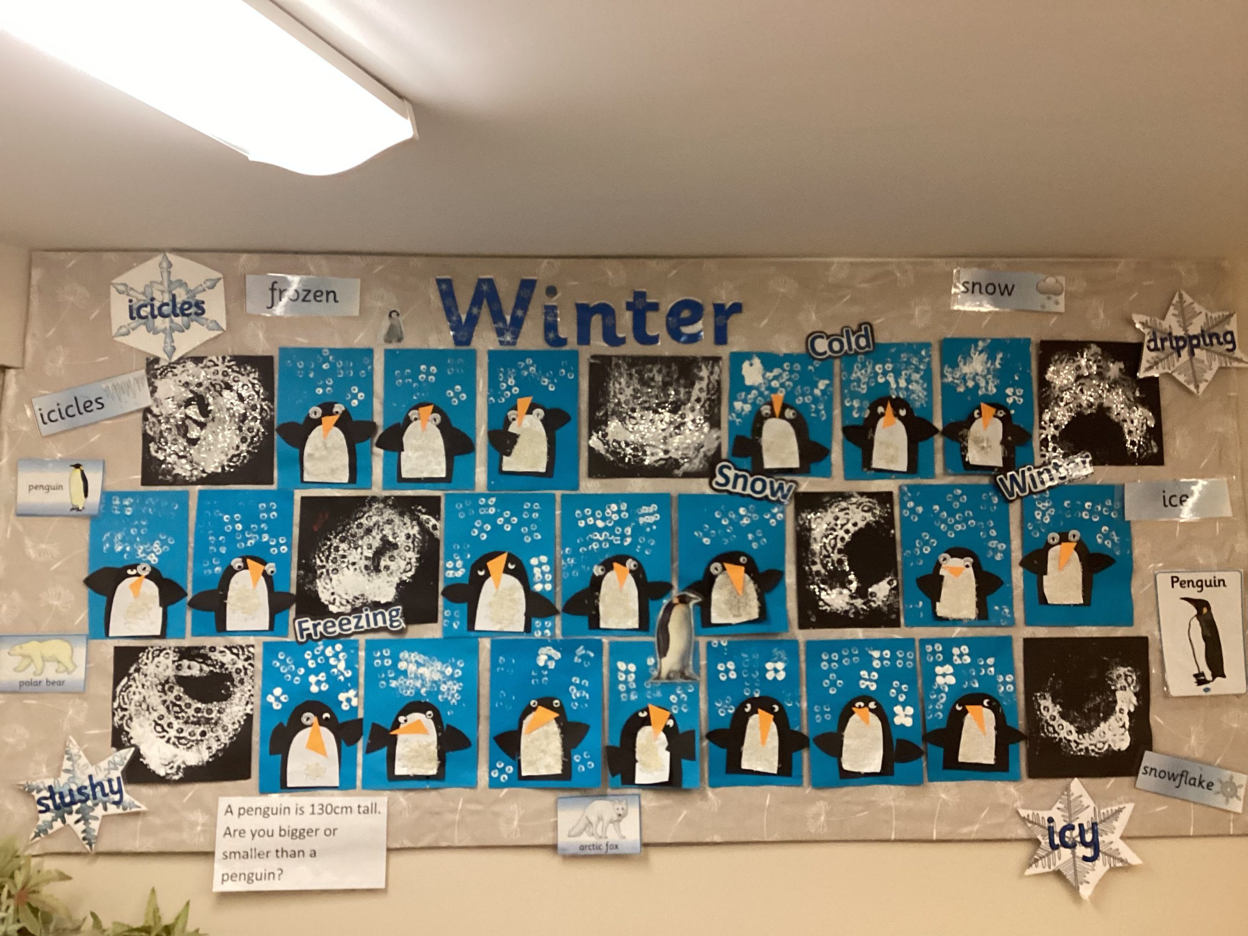 Winter displays in nursery - Ryelands